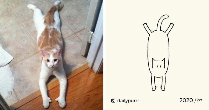 35 new “Daily Purrr” illustrations featuring the funniest internet ...