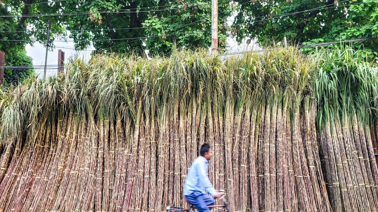 ISMA urges MSP hike for sugar as prices fall below production cost