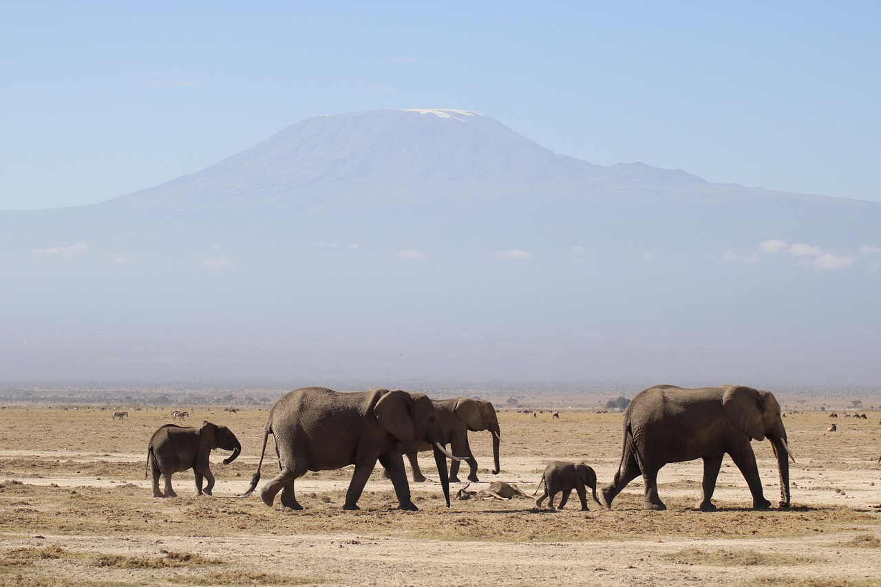 Safari Kilimanjaro Edition: la Tanzania di Alpitour World