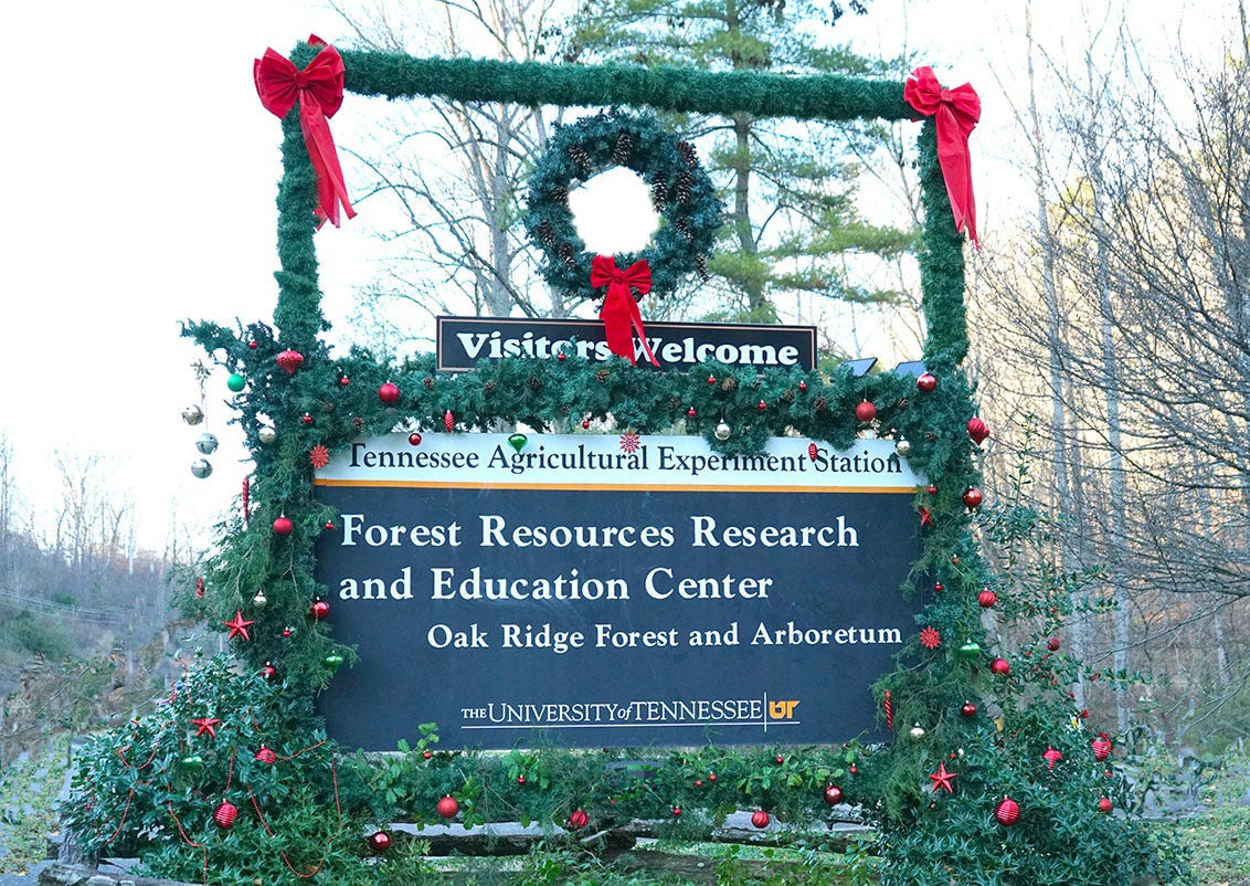 Get out and hike Jan. 1 at UT Arboretum in Oak Ridge