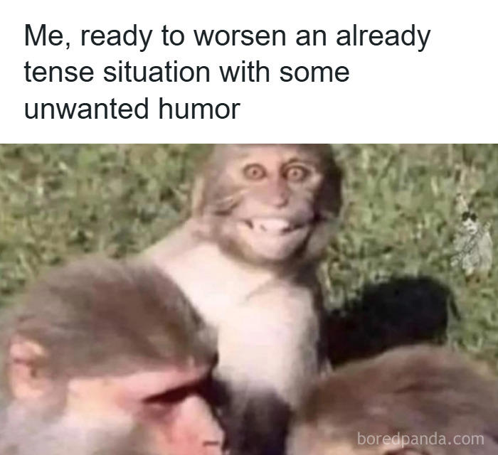 58 memes that deliver instant dopamine