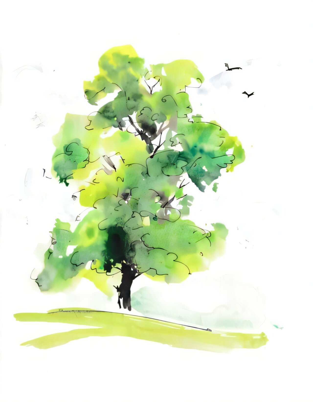 Communities and culture at the heart of 'lost' tree restoration