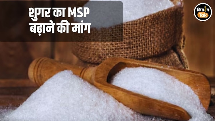 Sugar MSP, इथेनॉल पॉलिसी को लेकर फिर मुखर हुआ ISMA, बैठक में सरकार के ...