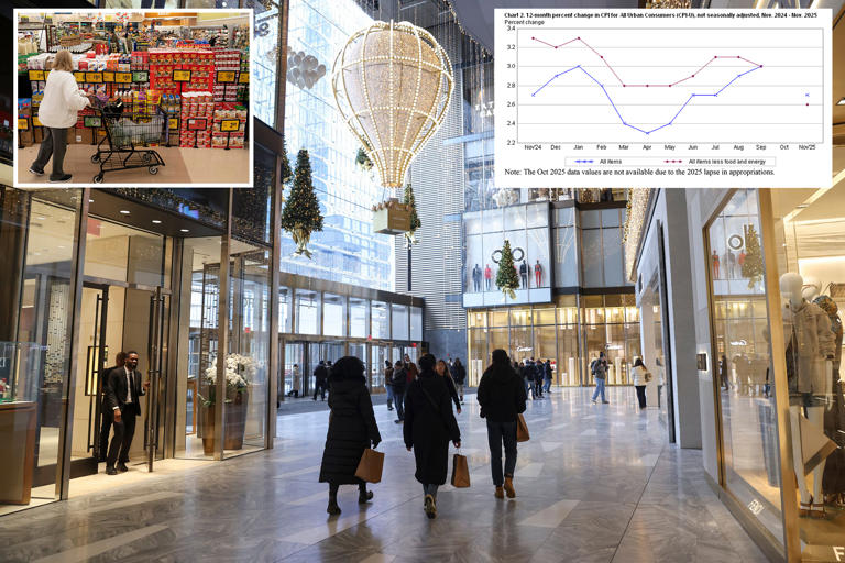 US inflation cools to 2.7% in November report likely distorted by ...