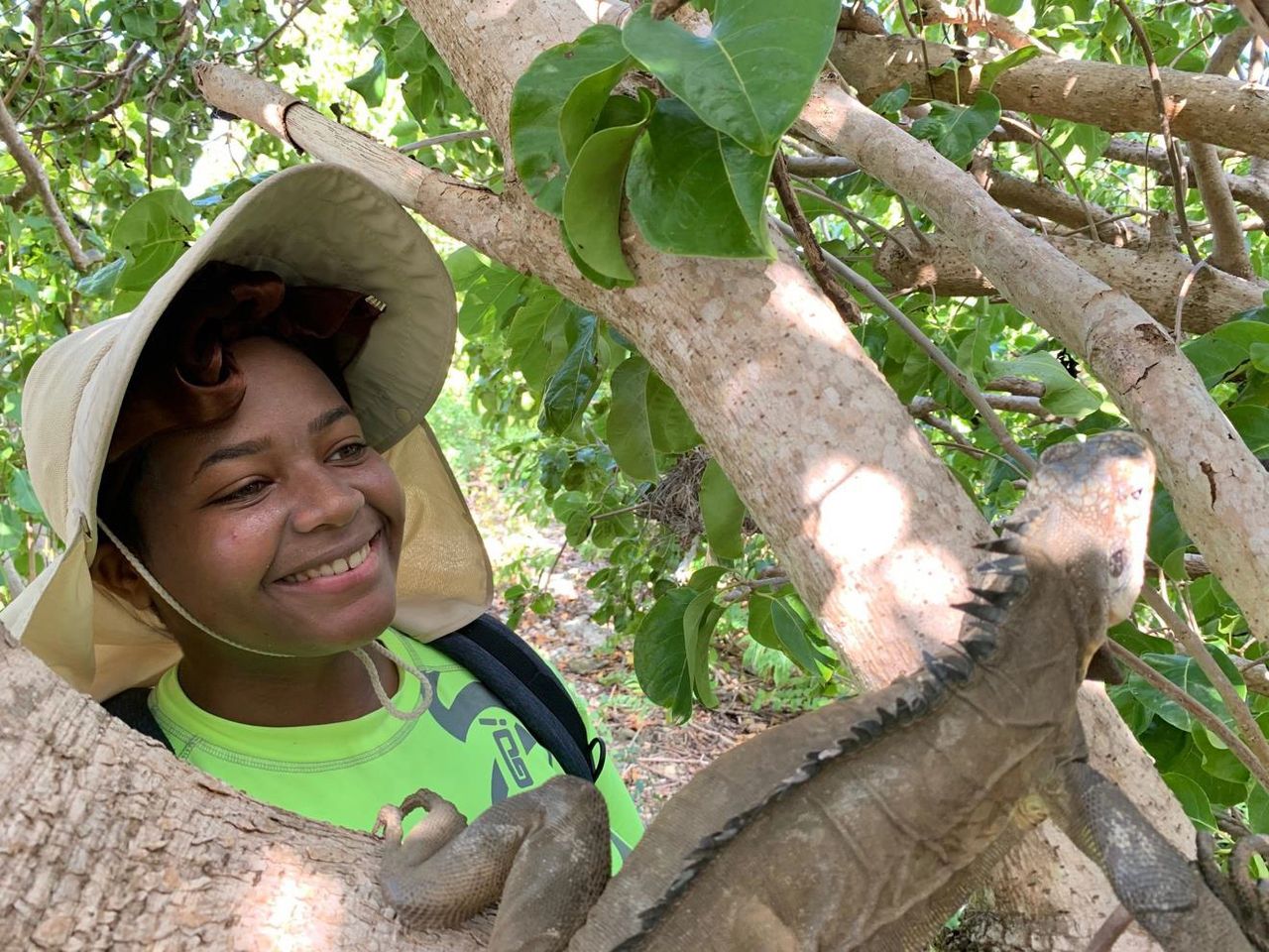 Conservationists turn deserted island into dating oasis for iguanas on ...