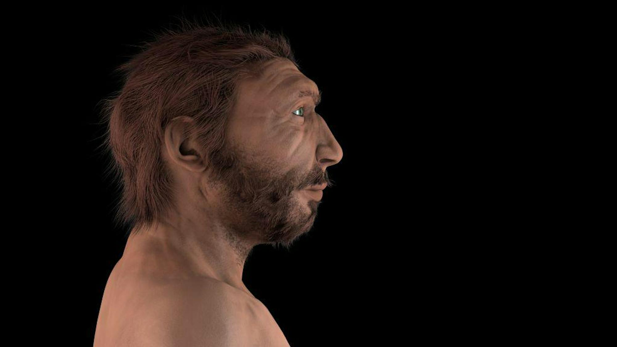 Des Néandertaliennes et des enfants victimes de cannibalisme il y a 45 ...