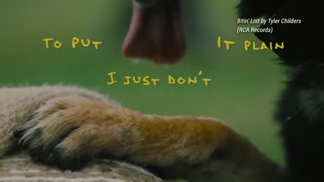 Music writers pick their favourite albums of 2025