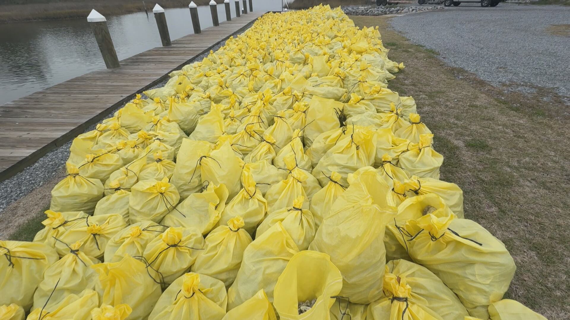 Mississippi receives $553,000 to expand oyster shell recycling program
