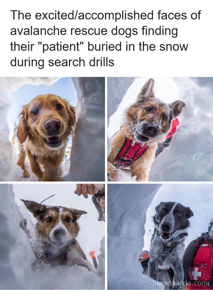 58 memes that deliver instant dopamine