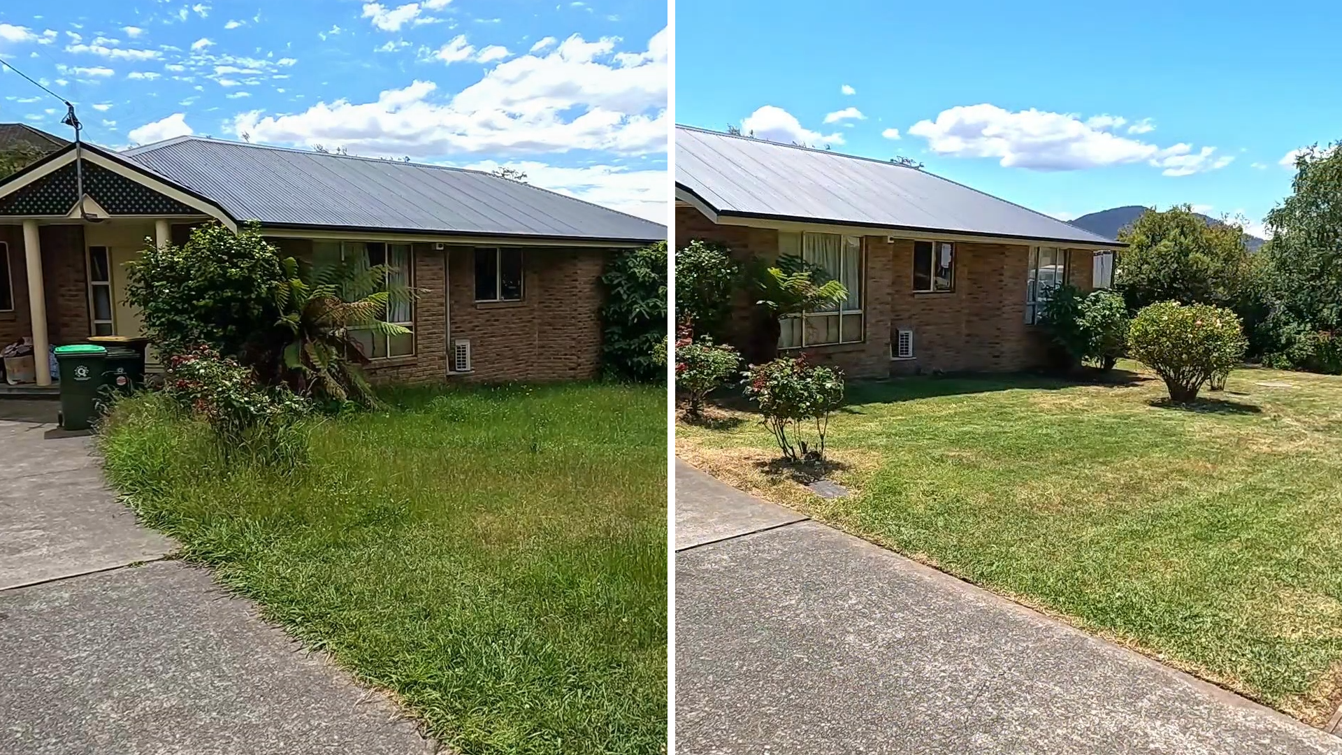 Cleaning up a mother’s yard nightmare