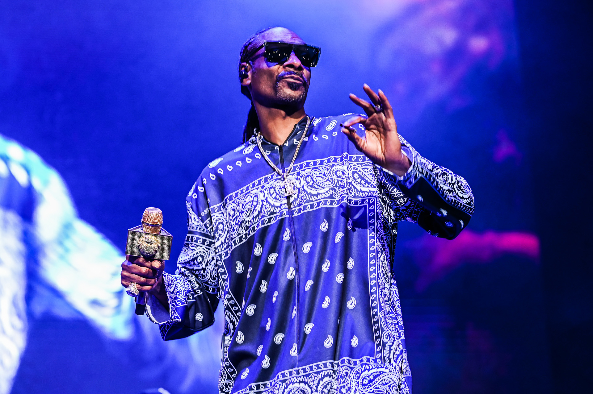 Snoop Dogg, Scott Budnick awarded film & TV tax credits for upcoming ...