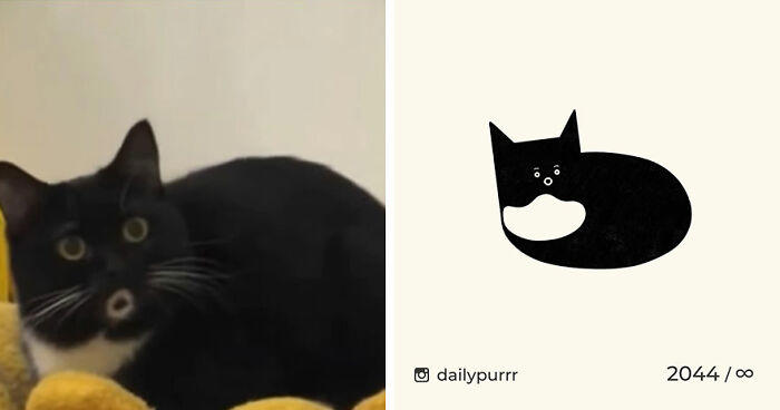 35 new “Daily Purrr” illustrations featuring the funniest internet ...
