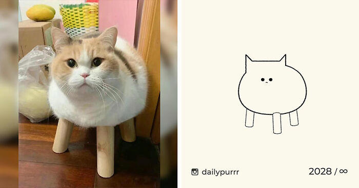 35 new “Daily Purrr” illustrations featuring the funniest internet ...