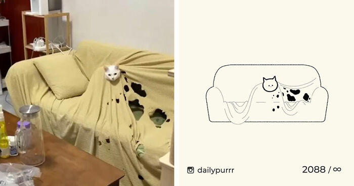 35 new “Daily Purrr” illustrations featuring the funniest internet ...
