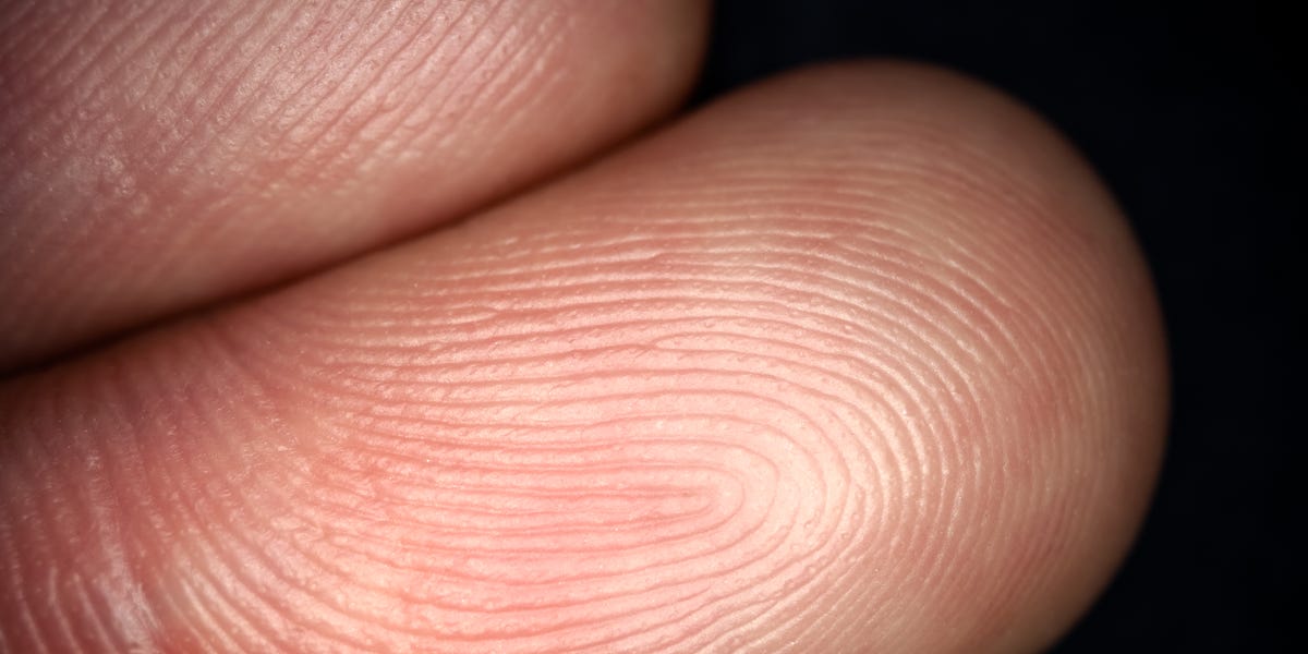 Scientists discovered a single fingerprint that could help solve a ...