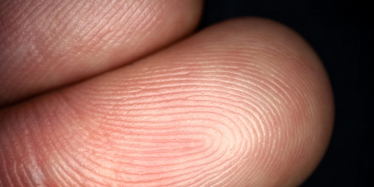 A 2,000-year-old crime scene. A sunken ship. And one single fingerprint ...