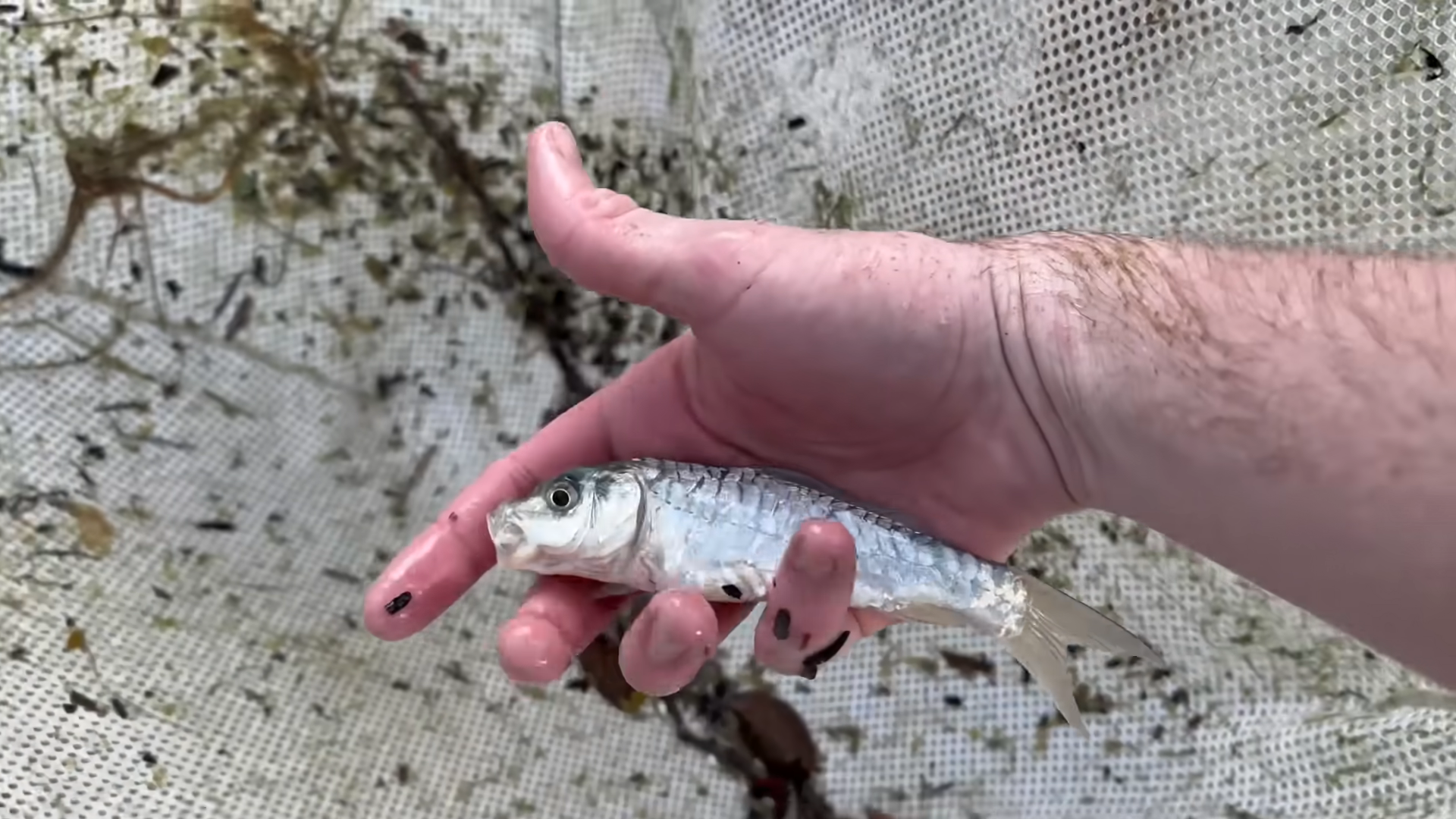 Found an abandoned fish farm