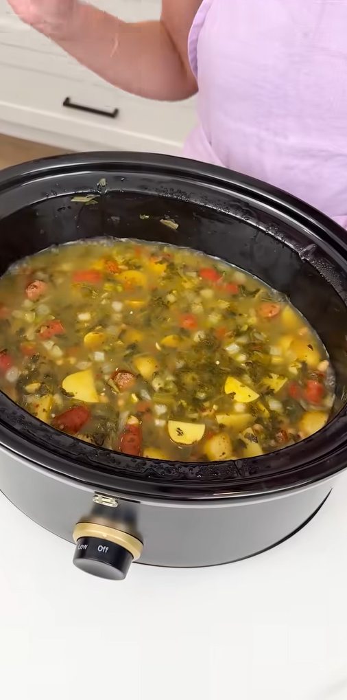 Viral swamp soup made in slow cooker