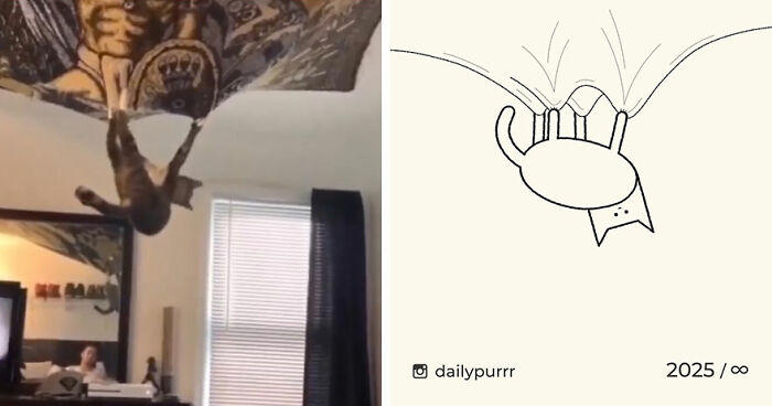 35 new “Daily Purrr” illustrations featuring the funniest internet ...