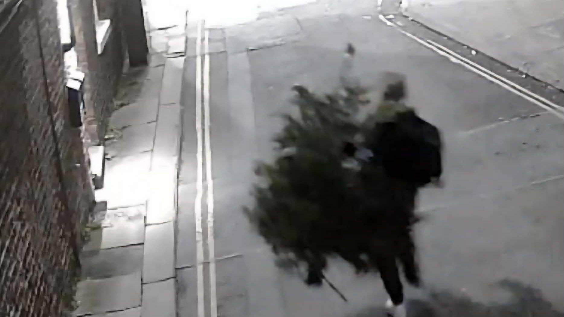 CCTV captures 'Grinch' stealing Christmas tree
