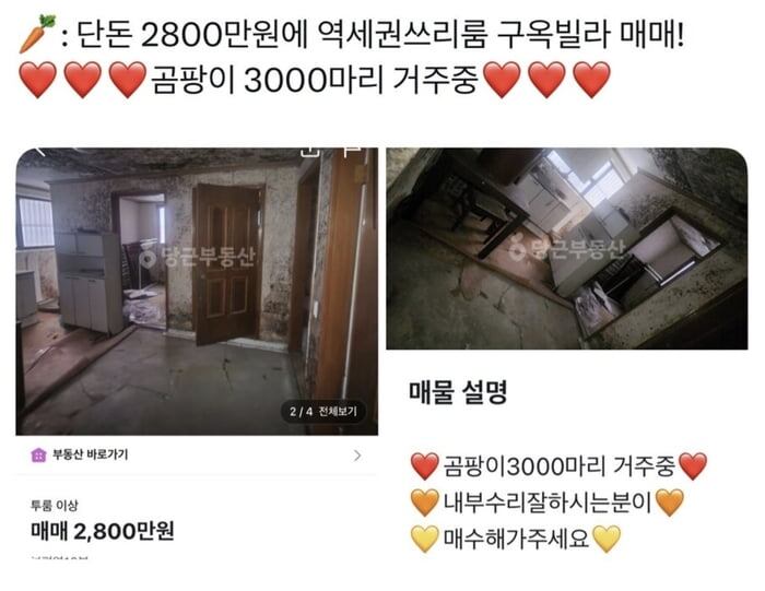 Three-room villa with 3,000 mold spores goes viral near subway