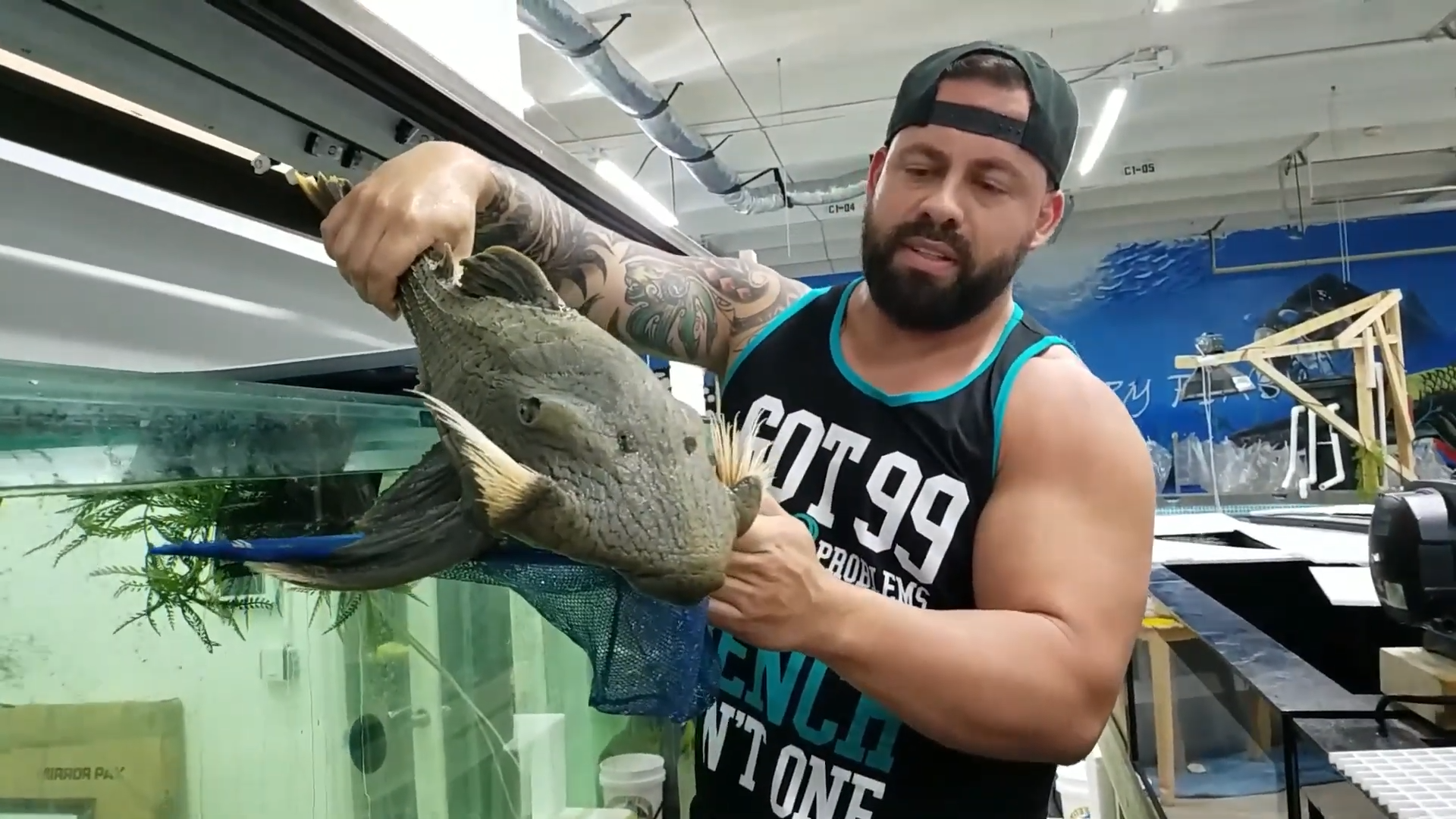 Bringing home my ancient pet - the giant gulper fish