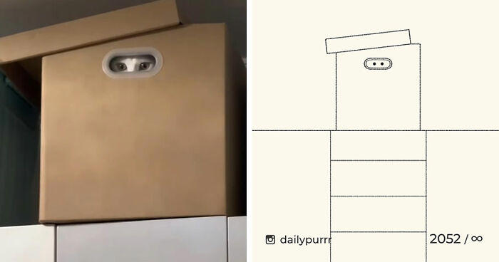 35 new “Daily Purrr” illustrations featuring the funniest internet ...
