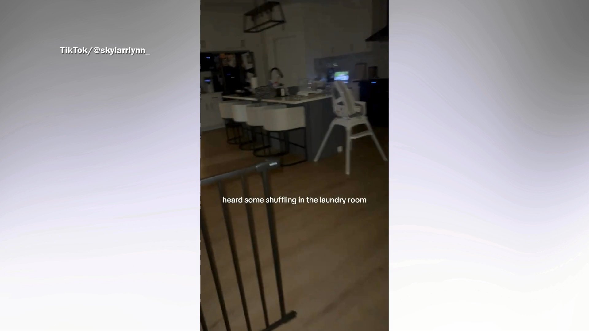 Mom hears noise from laundry room at 11:30pm, not prepared for who's there
