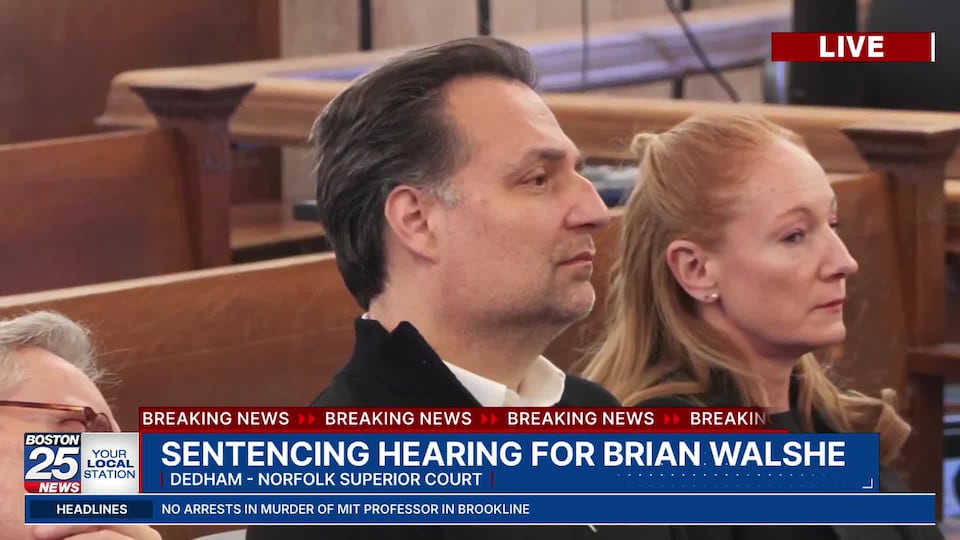 Judge calls Brian Walshe 'barbaric' before sentencing him to life in prison