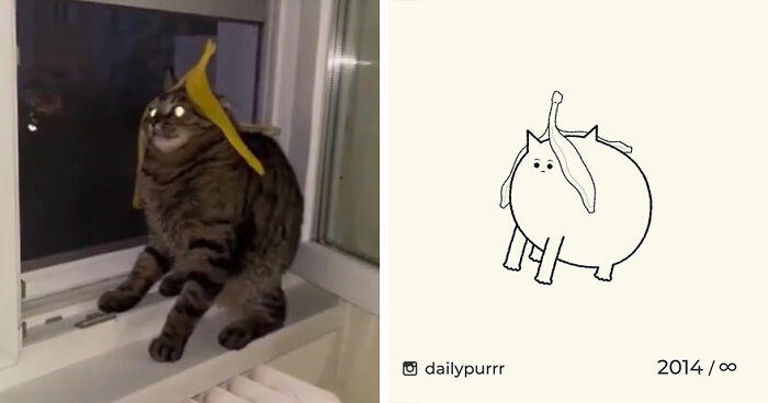 35 new “Daily Purrr” illustrations featuring the funniest internet ...