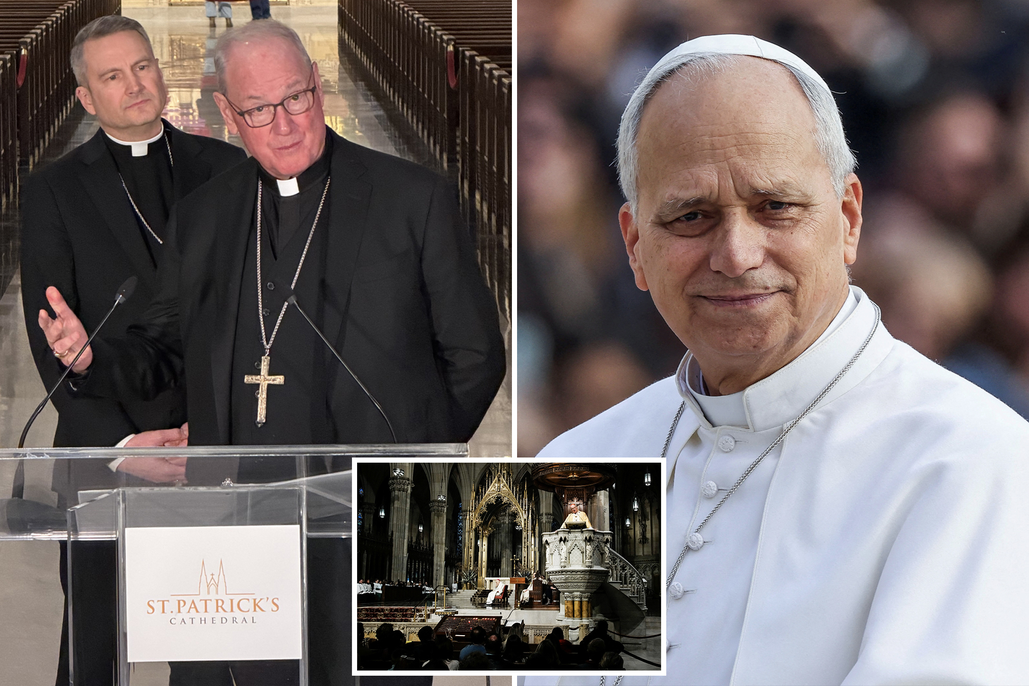 Pope Leo appoints Illinois Bishop Ronald Hicks to replace Cardinal ...