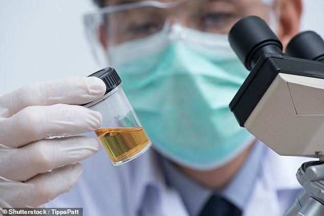 Simple urine test could reveal your body's real age and how long you ...