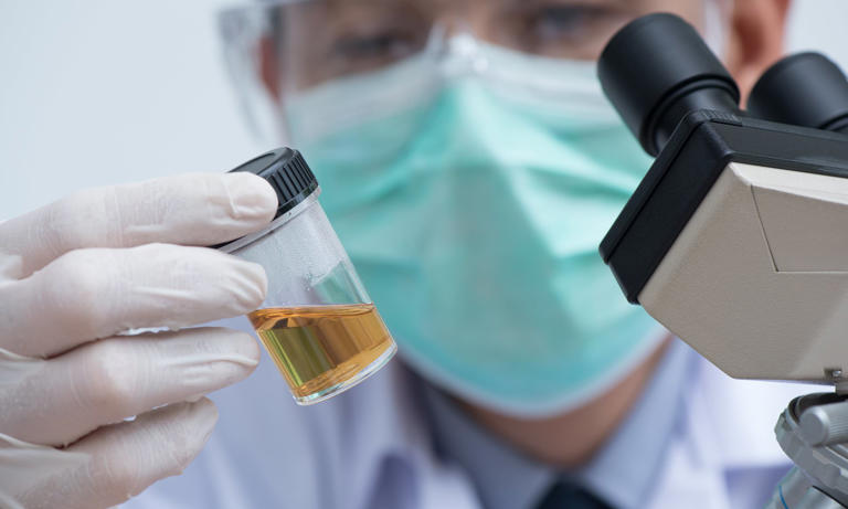 Simple urine test could reveal your body's real age and how long you ...