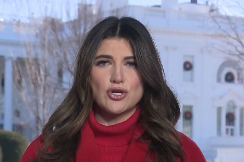 CNN interrupts show for breaking news as hosts share rare praise for Trump