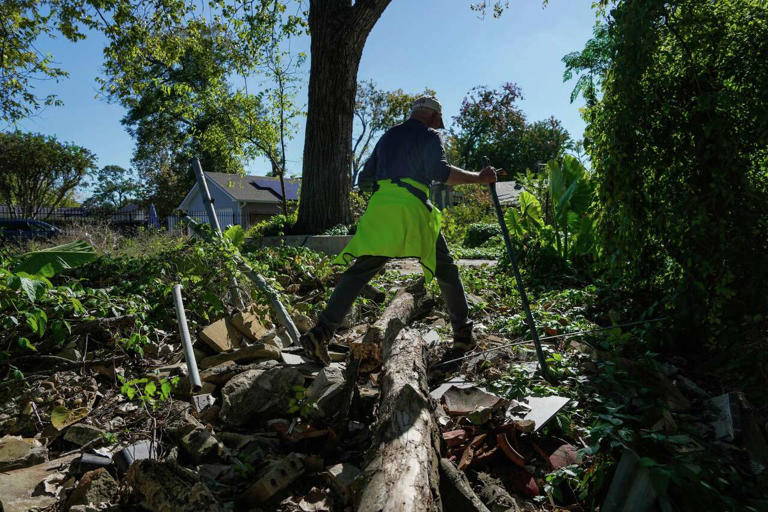 What exactly is a bayou, and why Houston wouldn't exist without them