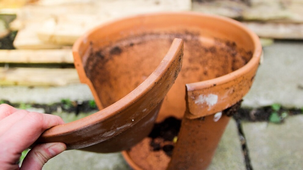 Simple trick prevents flower pots from cracking in winter