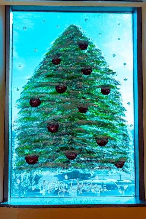 'A little extra light': Silver Cross ICU nurse paints ICU patients ...