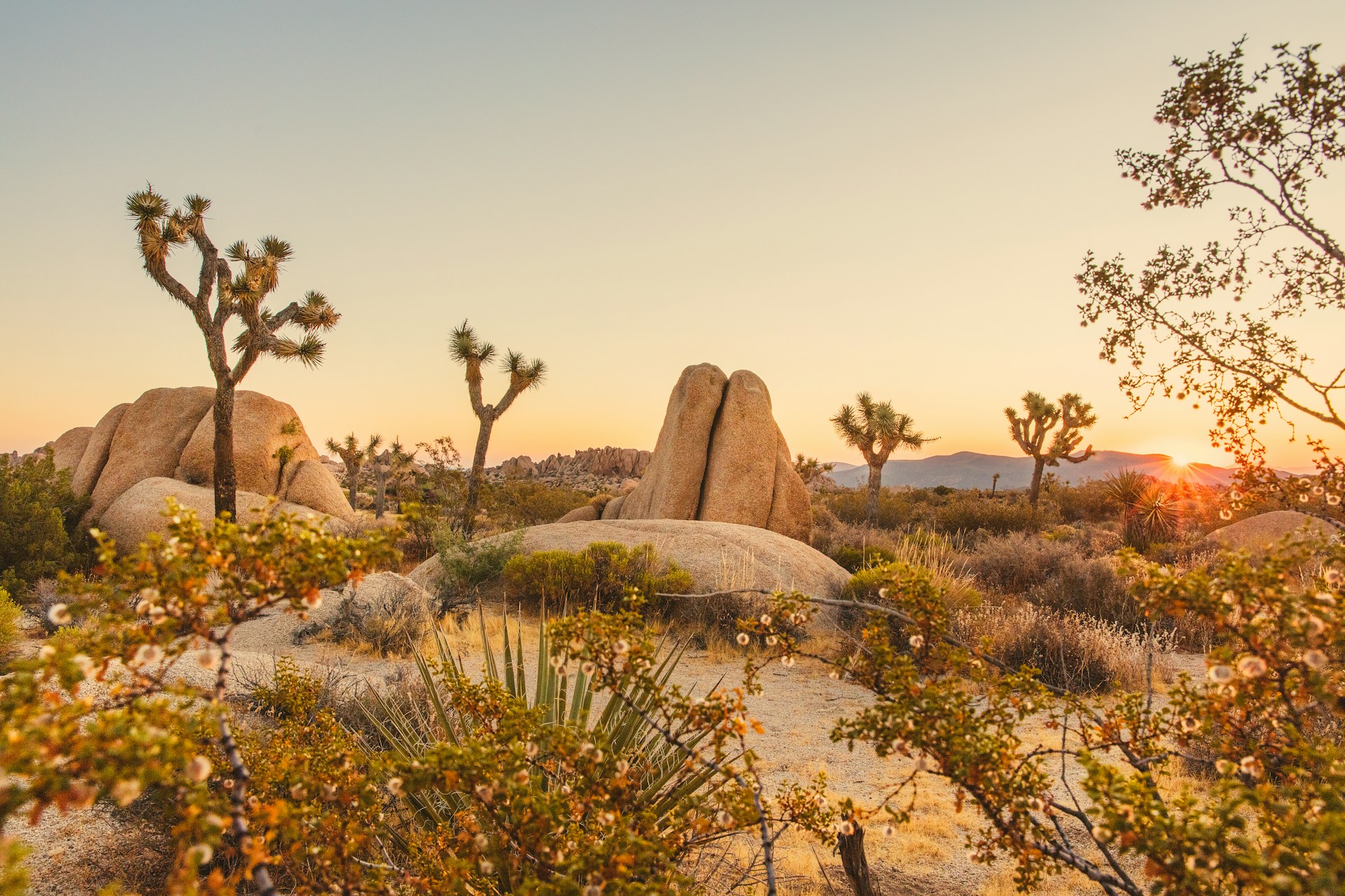 10 places in the US where you can still see the stars clearly