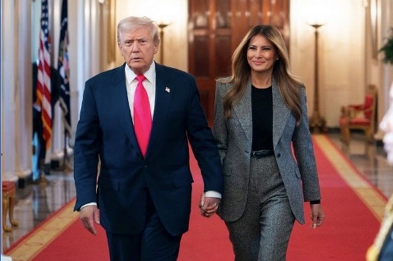 Donald Trump ordered 'baby' Melania Trump to make Christmas trees ...