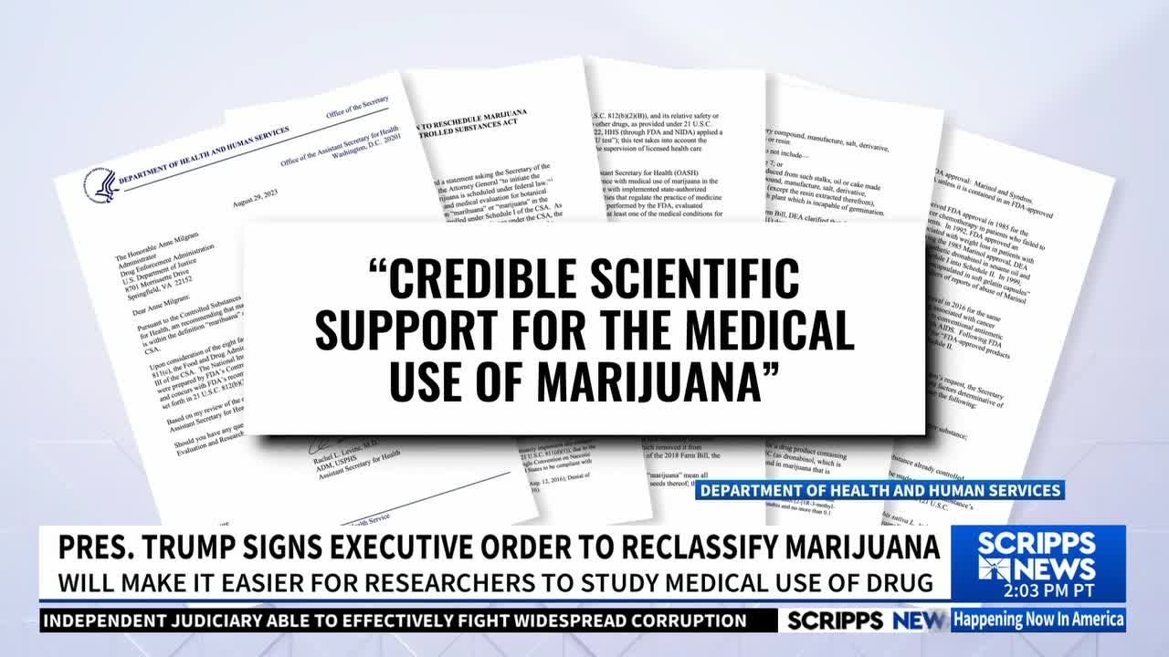 President Trump reclassifies marijuana, making it easier for medical use