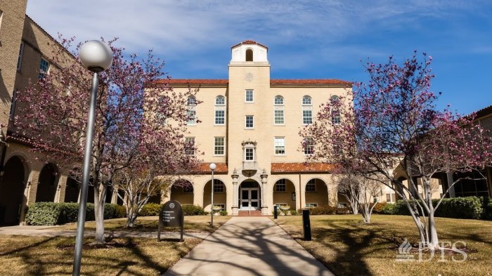 Dallas Theological Seminary marks first semester of Arabic-language courses