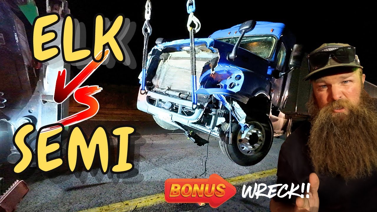 Tow truck saves semi from elk