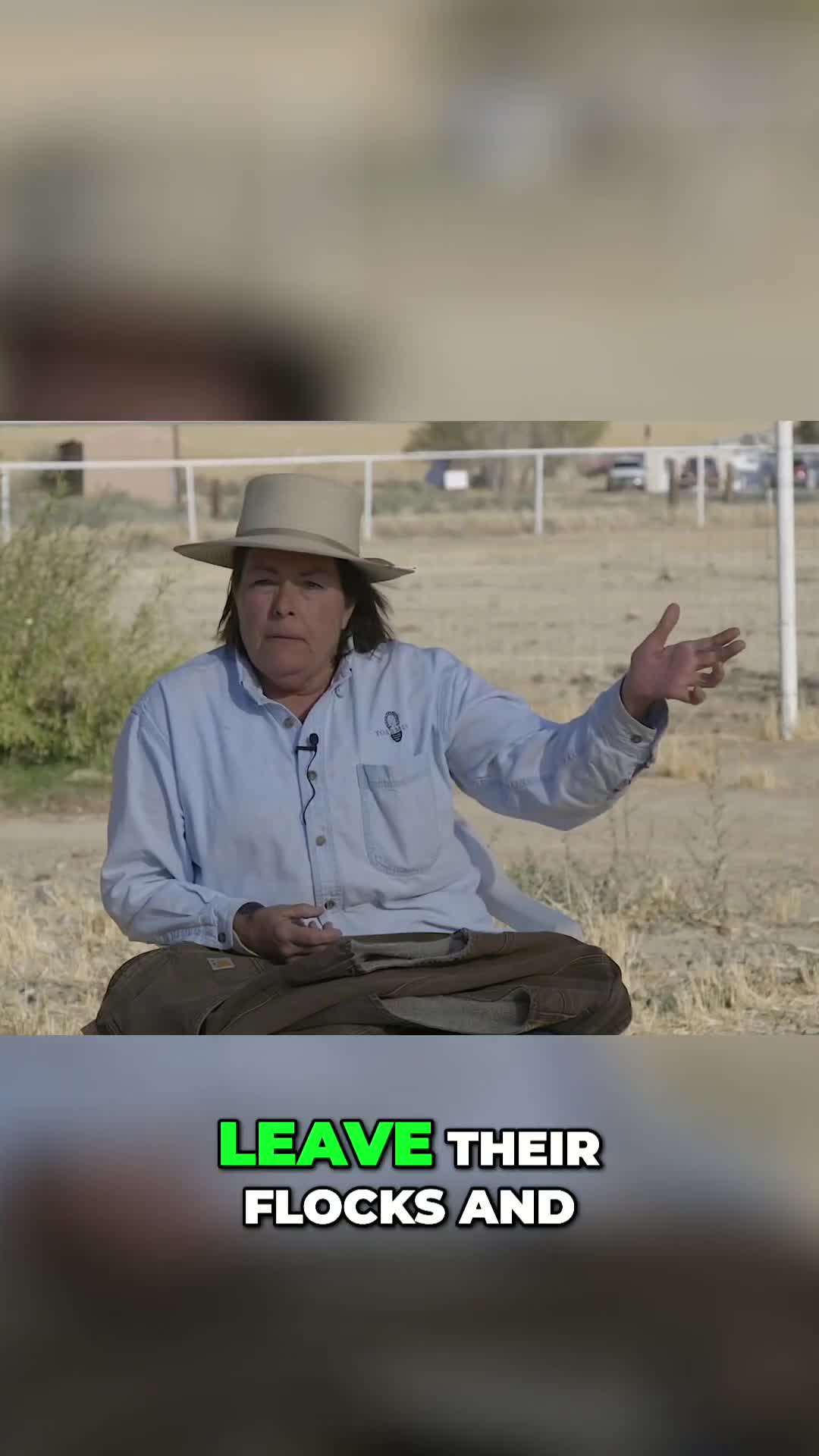 Choosing the perfect guardian dog for your livestock!