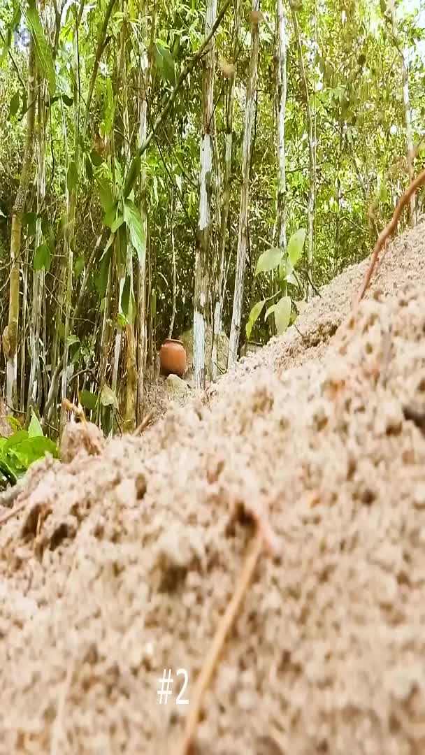 Discover the process of constructing an incredible mud home using ...