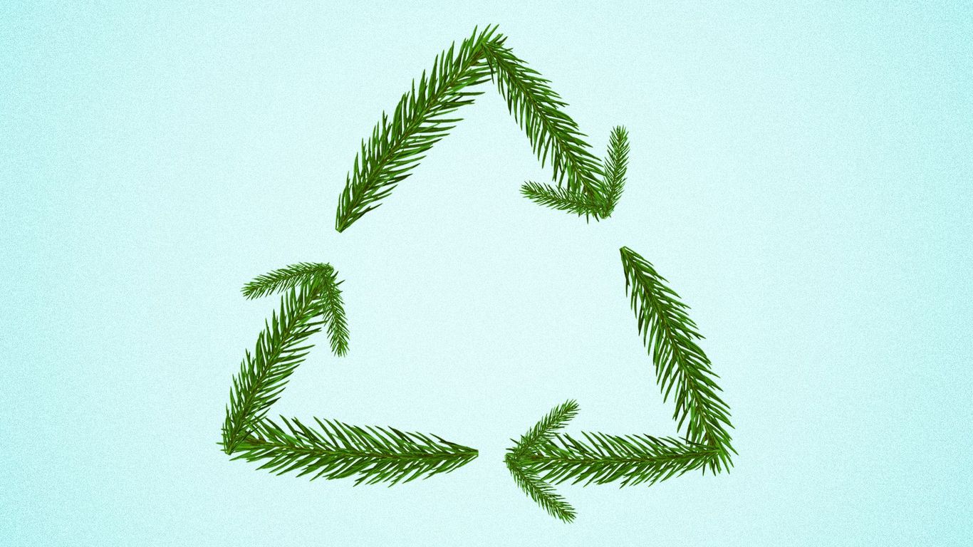 How to recycle or compost your Christmas tree in San Diego County