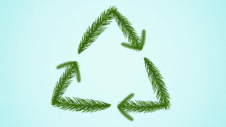 How to recycle or compost your Christmas tree in San Diego County