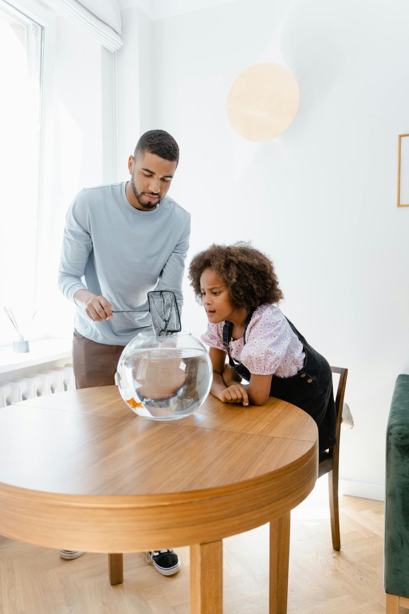 8 tips to help your aquarium fish live a long, healthy life