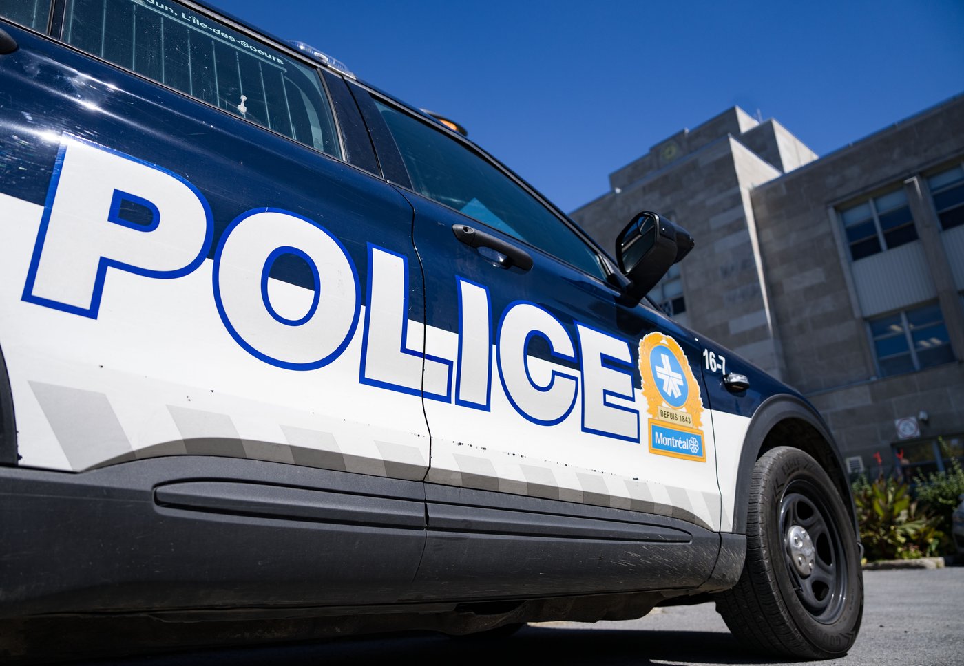 Santa, elves sought in alleged Montreal grocery theft described as ...