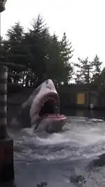 Jaws encounter at Universal Studios Japan