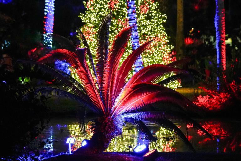 Fight over Christmas lights leads to man's arrest in Indian River County